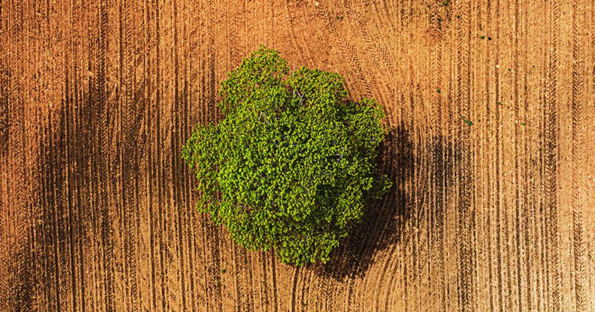 Manhattan Associates Lays Out the Blueprint for Agile and Sustainable ...